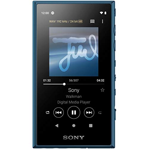ソニー SONY ウォークマン 32GB Aシリーズ NW-A106 : ハイレゾ対応 / bluet(中古品)