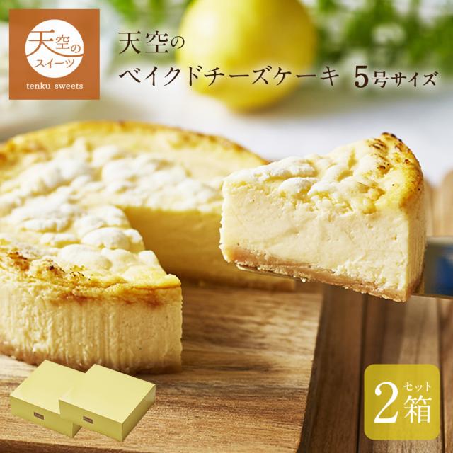 【送料無料】天空のベイクドチーズケーキ 5号 2箱セット 濃厚 誕生日 チーズケーキ 洋菓子 お菓子 人気 お取り寄せスイーツ 通販