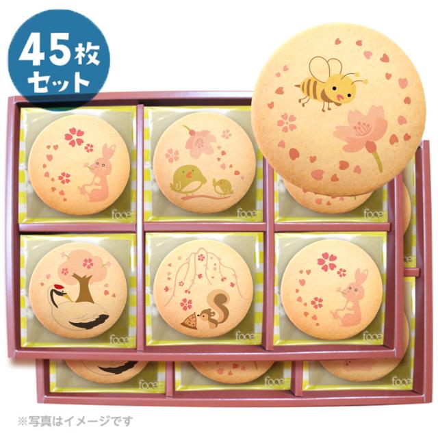 季節限定 桜 プリント クッキー メッセージ クッキー 45枚 セット 個包装 箱入り お礼 ギフト 贈り物 プチギフト お菓子 フォチェッタ focetta