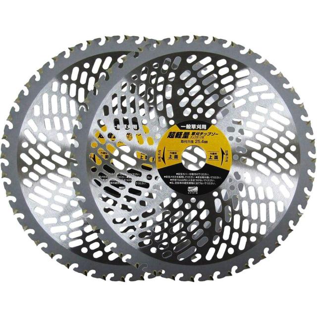 レモラツール 超軽量 草刈チップソー S チップガード付 2枚組 34474 一般草刈用 255mm×40P チップソーの通販はau PAY マーケット - ダイユーエイト.com | au ...