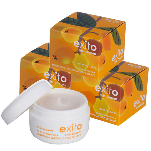 ビワの葉エキス配合 エクシートスキンクリーム（70g）【3個セット】【エクシート】【送料無料】