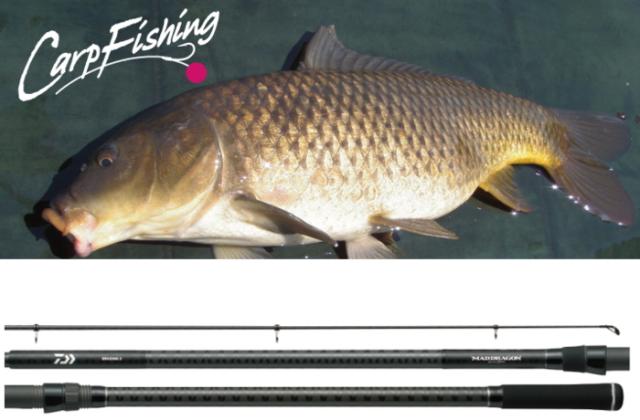 ダイワ マッドドラゴン T 3-360 / 鯉竿 釣具 daiwa