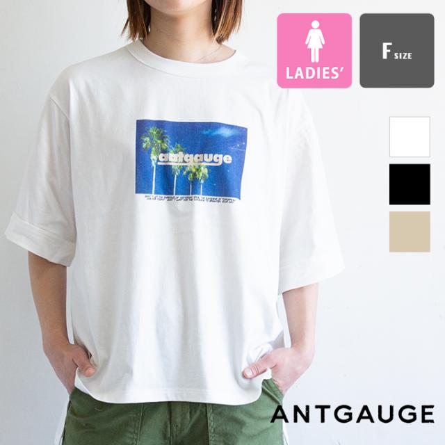 「 Antgauge アントゲージ 」 袖カフス 半袖 Tシャツ D1188 / アントゲージ Tシャツ 半袖 プリント 袖デザイン ドロップショルダー 2025SUMMER