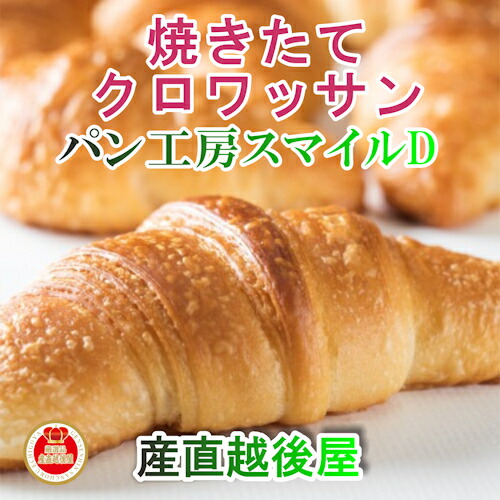 【パン クロワッサン デニッシュパン工房】 越後十日町 パン工房 スマイルD 焼きたてクロワッサン 10個入の通販はau PAY マーケット ...