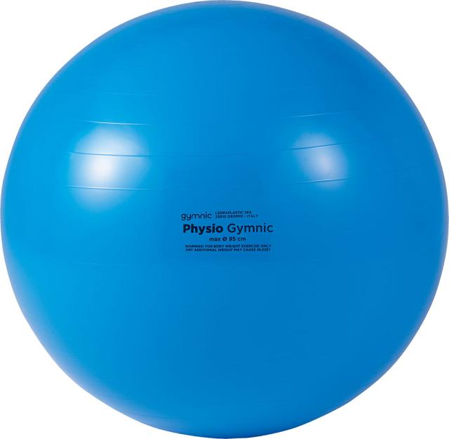 ダンノ DANNO ギムニクカラーボール95 ブルー 青 ギムニク ギムニクボール バランスボール ながら運動 バランストレーニング 体幹トレーニング 体幹 筋トレ  D5435