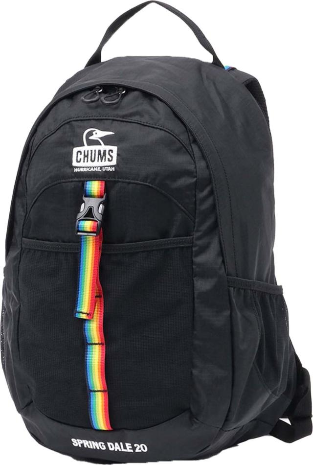 チャムス CHUMS アウトドア スプリングデール20リットル デイパック リュック 20L バッグ フェス 登山 ハイキング 旅行 トラベル タウンユース ポケット  CH603749