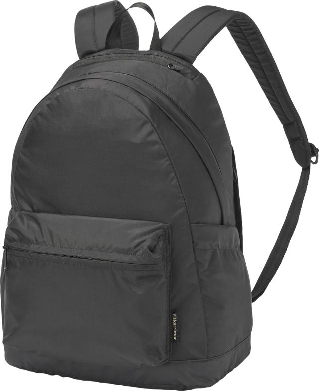 カリマー KARRIMOR アウトドア デイパック M daypack 20 メンズ レディース 通勤 通学 旅行 トラベル バックパック リュックサック 小型リュック 耐久性 日常生活 耐摩耗性  501176