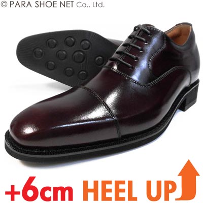 ANCIEN CREPINS 本革 内羽根ストレートチップ シークレットヒールアップ（身長+6cmアップ）ビジネスシューズ ダークワイン ワイズ3E（EEE）23.5cm、24cm【小さいサイズ（スモールサイズ）メンズ革靴・紳士靴】