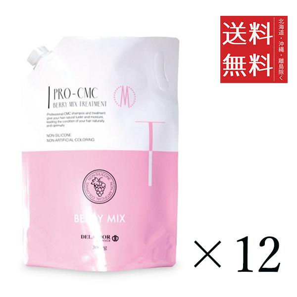 千代田化学 デラクシオ プロ CMC ベリーミックス トリートメント 3000g×12個セット まとめ買い  ヘアケア 無着色 シリコンフリー ノンシリコン 送料無料