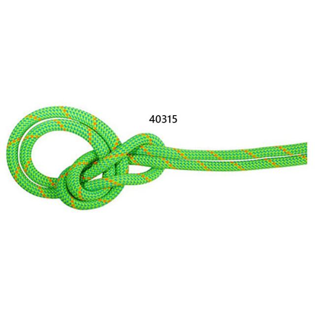 長さ60m 直径9.5mm マムート メンズ レディース 9.5 クラッグ エコ ドライ ロープ 60m 登山 クライミング ロープ グリーン 緑 送料無料 Mammut 2010-06100