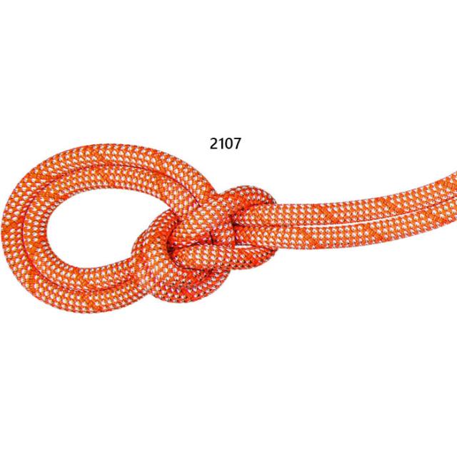 マムート メンズ レディース 9.8クラッグ クラシック ロープ 40m 9.8 Crag Classic Rope 40m 登山 クライミング ロープ オレンジ 送料無料 Mammut 2010-05840