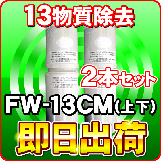 フジ医療器 純正カートリッジ FW-13CM 【トレビFW-507、FW-5050、FWH-6000 S1 TW-100など】【2本セット】