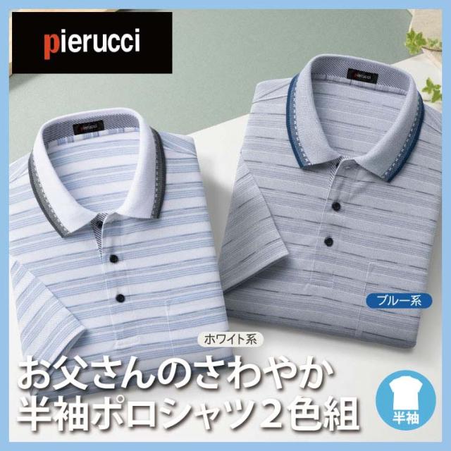 紳士服 メンズ 春夏 春物 夏服 お父さんのさわやか半袖ポロシャツ2色組 NE-6100 Pierucci/ピエルッチ