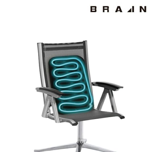 BRAIN ブレイン 水冷式背中クッション バッテリーセット BR-866
