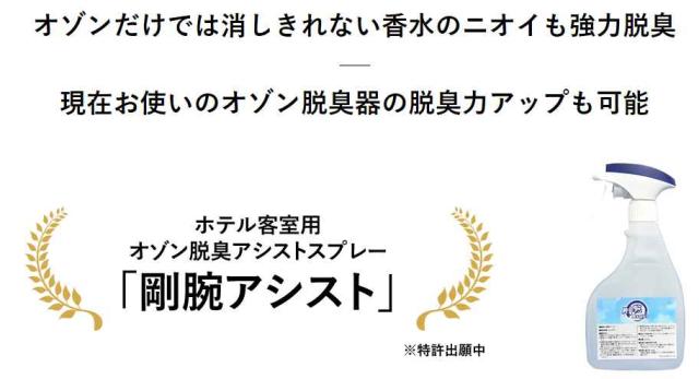 【】ｵｰﾆｯﾄ GA-005S    ﾎﾃﾙ客室用 0.5L x6本入 : ｵｿﾞﾝ脱臭補助剤 剛腕ｱｼｽﾄ ｽﾌﾟﾚｰ∴OHNIT 業務用 ﾎﾃﾙ 食品 医療 福祉 施設 除菌 脱臭