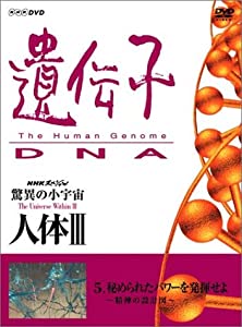 NHKスペシャル 驚異の小宇宙 人体III 遺伝子~DNA 第5集 秘められたパワーを発揮せよ~精神の設計図~ [DVD](中古品)の通販はau PAY マーケット - AJIMURA ...
