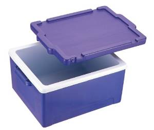 三甲 サンコールドボックス   #20-2I【ASV51】