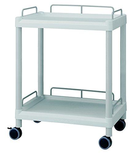 アズワン モバイルイ-ジ-カ-ト(ガ-ド枠付き:グレ-) 2段 651×447×810NC3-6639-013-6640-01