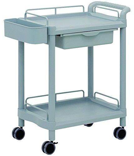 アズワン モバイルポケットカート(引出し付き) 2段 650×410×838 MP61AG 1個