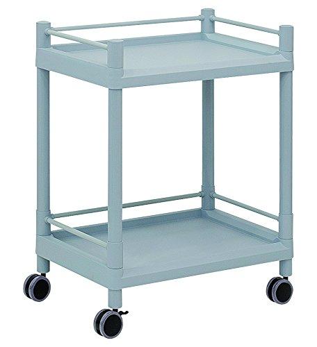 アズワン モバイルストレージカート(ガード枠付) 2段 651×447×830 MSO21E 1個