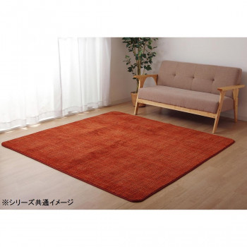 イケヒコ ラグ カーペット マット 珊瑚マイヤ 洗える 滑りにくい オレンジ 約200×300cm