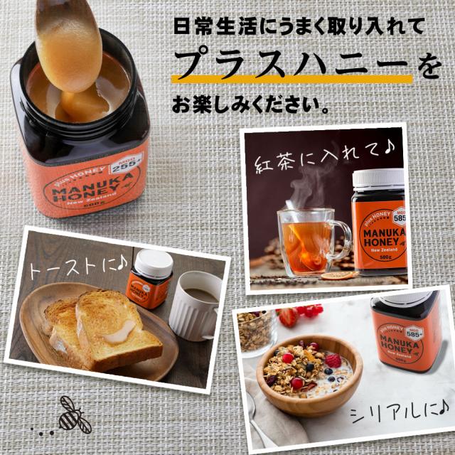 マヌカハニー MGO585以上 500g｜大容量 非加熱 無添加 無農薬 生