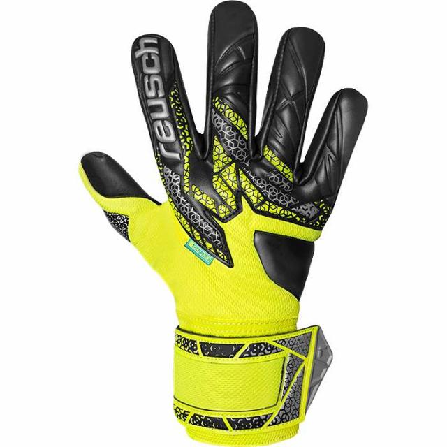 REUSCH ロイシュ アトラクト ゴールドX NC(イエロー) 5570955 2025 サッカー キーパーグローブ