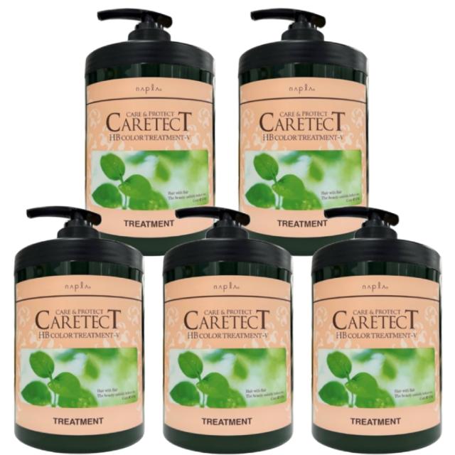 ナプラ ケアテクト HB カラー トリートメント V ハリ・コシタイプ 650g 5個セット