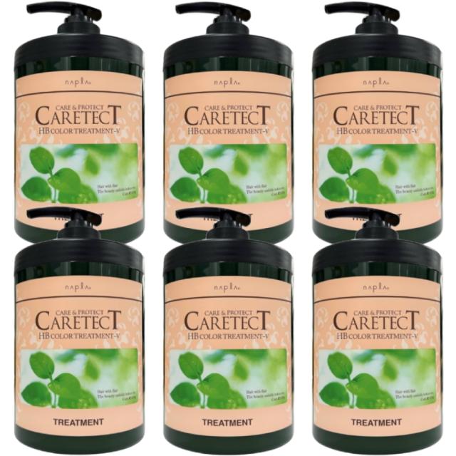 ナプラ ケアテクト HB カラー トリートメント V ハリ・コシタイプ 650g 6個セット