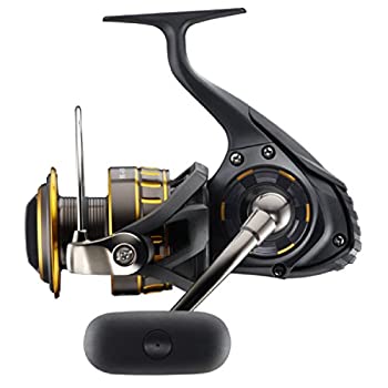 ダイワ(Daiwa) スピニングリール 16 BG 4000（中古品）