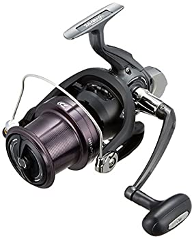 ダイワ(Daiwa) スピニングリール 17クロスキャスト 4500（中古品）