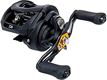 ダイワ(DAIWA) ベイトリール タトゥーラ TW 100HL 2019モデル（中古品）