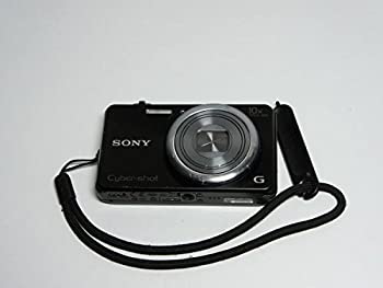 ソニー SONY デジタルカメラ Cyber-shot DSC-WX170 1820万画素CMOS 光学10倍 ブラック DSC-WX170/B（中古品）