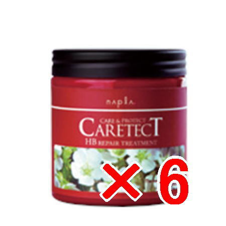 送料無料 ナプラ napra ／ ケアテクトHB リペアトリートメント 250g 6個セット ／ ケアテクトHB シャンプー＆トリートメントシリーズ