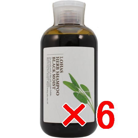★【送料無料】 テクノエイト ／ ロハスハーブシャンプー （ブラックモイスト） 300ml  しっとり艶タイプ 【6個セット】