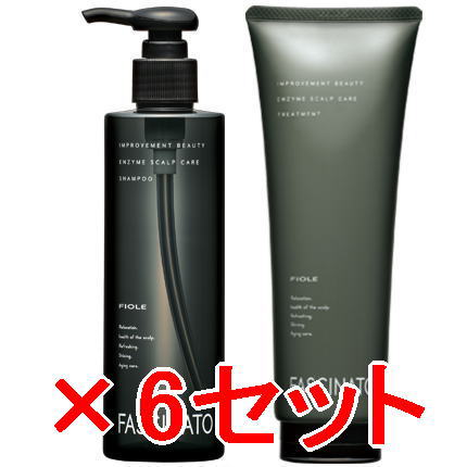★【送料無料】 フィヨーレ FIOLE ／ ファシナート シャンプー EZ  250ml & トリートメント EZ 180g　6セット