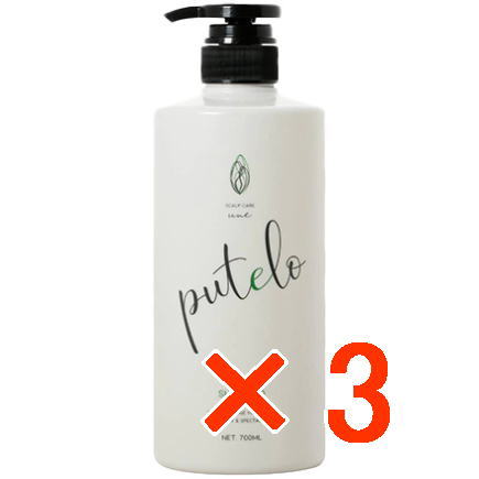 【正規品販売商品】プテロ putelo ／ プテロ AR シャンプー 700mL【3個セット】／ スカルプシャンプー ／ 新鮮な植物エキスをたっぷり配合した生シャ