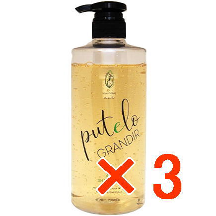 【正規品販売商品】プテロ putelo ／ プテロ AR シャンプー  グランディール 700ml【3個セット】／ スカルプシャンプー ／ フレッシュな植物エキス