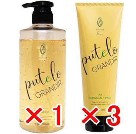 送料無料 正規品販売商品 プテロ putelo ／ プテロ AR シャンプー グランディール 700ml 1個 ＆ スカルプ パック
