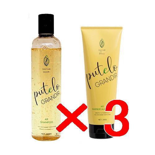 プテロ putelo ／ グランディール シャンプー 300ml ＋ グランディール ヘア＆スカルプパック 240ml【3セット】