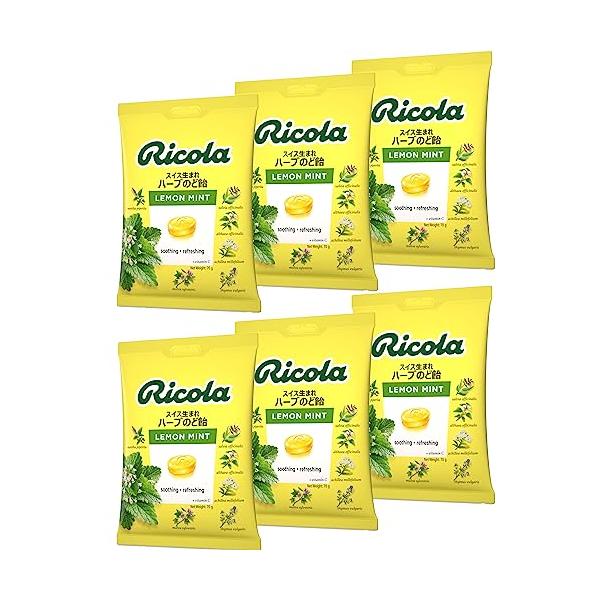 スナッフルス 蒸し焼きショコラ 4個入 3個セット 送料無料 SNAFFRES