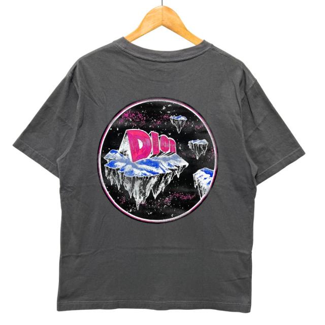 DIOR ディオール 品番 393J696D0817 アステロディオール プリント 半袖Ｔシャツ チャコールグレー サイズ M 正規品 / 40716