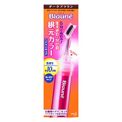 【２４個セット】【１ケース分】 ブローネ 根元カラー ダークブラウン(28g) ×２４個セット　１ケース分 【dcs】