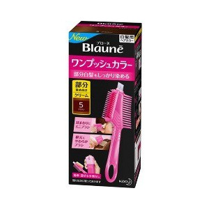 【２４個セット】【１ケース分】  ブローネ ワンプッシュカラー 5 ブラウン 80g×２４個セット　１ケース分
