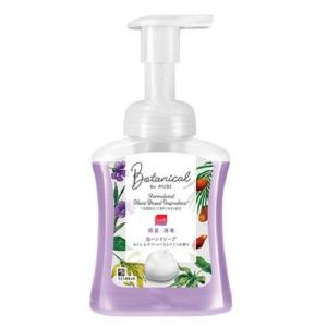 【２４個セット】【１ケース分】 薬用せっけん ミューズ 泡ハンドソープ ボタニカル 本体 ボトル(250ml) ×２４個セット　１ケース分【mor】【ご注文後発送までに2週間以上頂戴する場合がございます】
