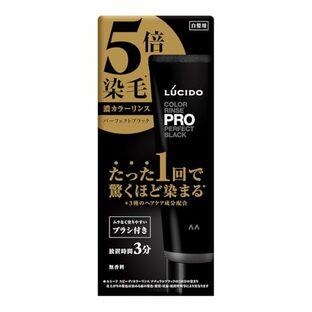 【３６個セット】【１ケース分】 ルシードカラーリンスPRO パーフェクトブラック120g×３６個セット　１ケース分