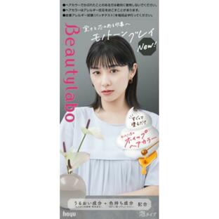 【２０個セット】 ビューティラボ ホイップヘアカラー モノトーングレイ(1セット)×２０個セット
