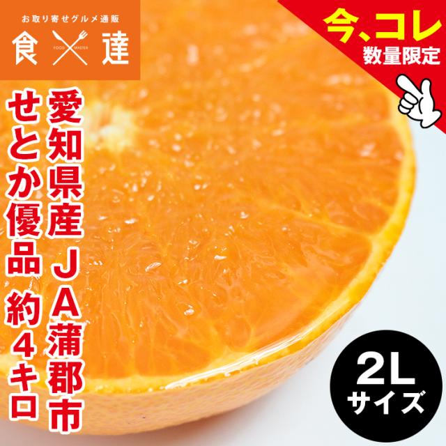 せとか 愛知県産 4kg 2Lサイズ 優品 高級 柑橘 みかん 柑橘の大トロ 常温便 同梱不可 指定日不可の通販はau PAY マーケット - 食の達人お取り寄せグルメ | au PAY ...