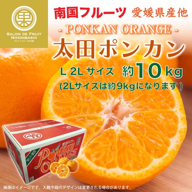[予約 2024年1月5日-2月5日の納品] 太田ポンカン 約10kg L 2L 愛媛県産ほか JA全農えひめ お年賀 御年賀の通販はau PAY マーケット - サロンドフルーツ au ...