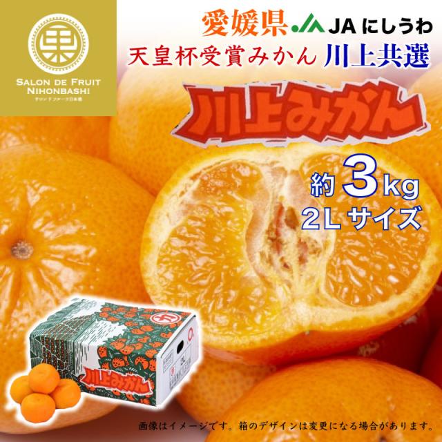 [予約 2023年12月26日-12月31日のご納品] 川上みかん 約3kg 2L 愛媛県 JAにしうわ 西宇和みかん 味ピカ と同じ 川上共選 天皇杯受賞の通販はau PAY マーケット ...